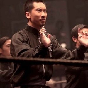 Yip Man 2 - Rotten Tomatoes