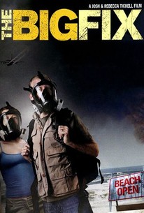 The Big Fix | Rotten Tomatoes