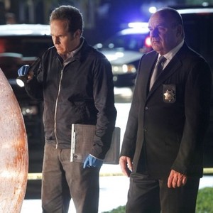 David Berman - Rotten Tomatoes