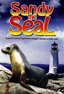 Sandy the Seal | Rotten Tomatoes