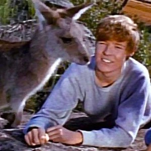 Skippy - Rotten Tomatoes