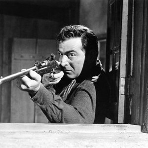 Stephen McNally - Rotten Tomatoes