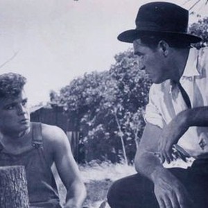 Come Next Spring - Rotten Tomatoes