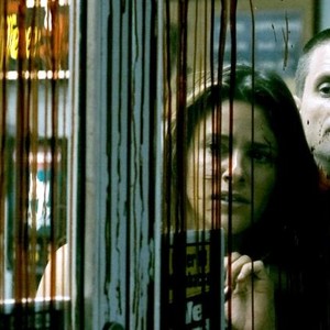 Jill Wagner - Rotten Tomatoes