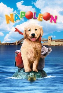 Napoleon - Rotten Tomatoes