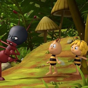Maya the Bee: Season 2, Episode 35 - Rotten Tomatoes