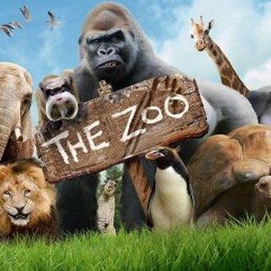 The Zoo - Rotten Tomatoes