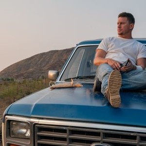 Dog - Rotten Tomatoes