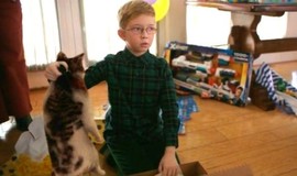 Smile - Rotten Tomatoes