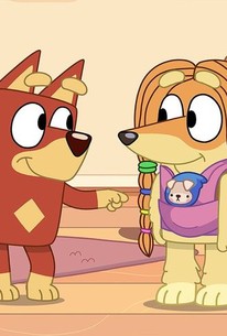 Bluey: Season 1, Episode 17 | Rotten Tomatoes