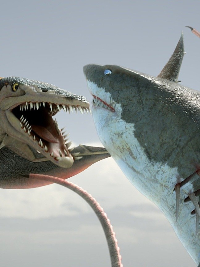 Sharktopus Vs Pteracuda Drawing