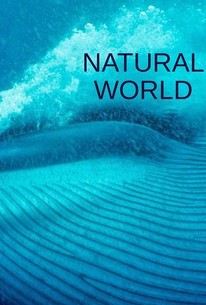 Natural World: Season 22 | Rotten Tomatoes
