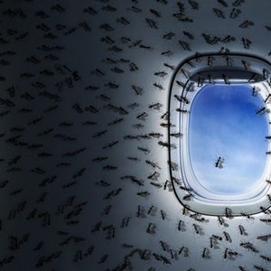 Destination: Infestation - Rotten Tomatoes