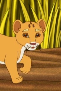 Go, Diego, Go!: Season 4, Episode 12 - Rotten Tomatoes