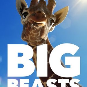 Big Beasts - Rotten Tomatoes