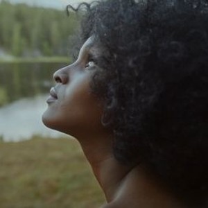 Kelet - Rotten Tomatoes