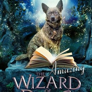 The Amazing Wizard of Paws - Rotten Tomatoes