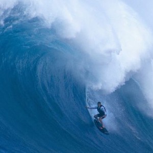 How Do They Do It? - Rotten Tomatoes