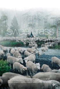 Sweetgrass | Rotten Tomatoes