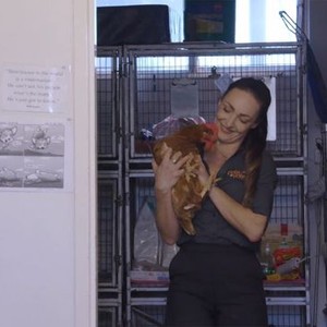 Desert Vet: Season 1, Episode 4 - Rotten Tomatoes