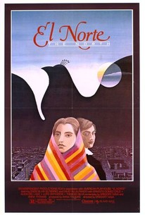 El Norte | Rotten Tomatoes