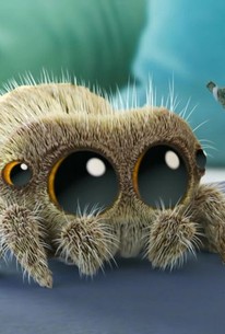 Lucas the Spider: Season 1, Episode 18 | Rotten Tomatoes