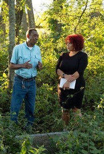 The 1619 Project: Season 1, Episode 6 | Rotten Tomatoes