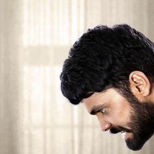 777 Charlie - Rotten Tomatoes