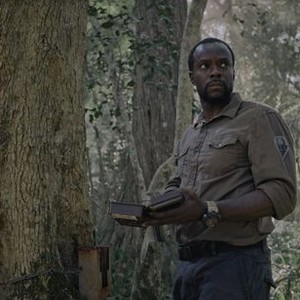 Gaia - Rotten Tomatoes