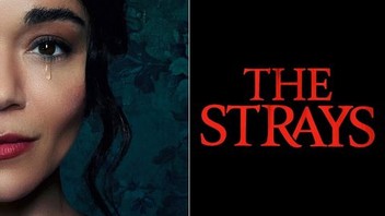 the strays poster