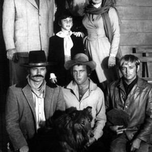 Patrick Wayne - Rotten Tomatoes