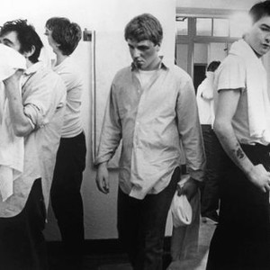 Ray Winstone - Rotten Tomatoes