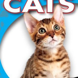 Amazing Cats - Rotten Tomatoes
