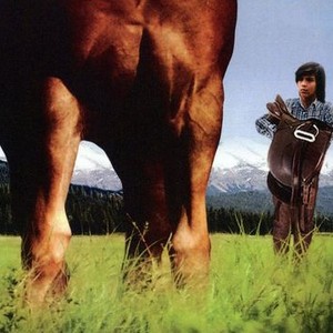 The Red Fury - Rotten Tomatoes