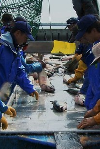 Rotten: Season 1, Episode 6 | Rotten Tomatoes