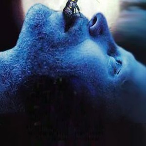 They Nest - Rotten Tomatoes