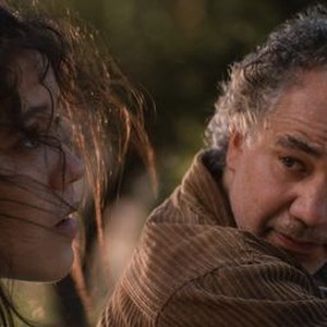 The Fallout - Rotten Tomatoes