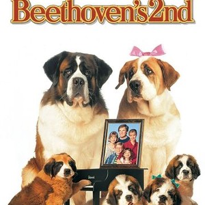 Beethoven's 2nd - Rotten Tomatoes