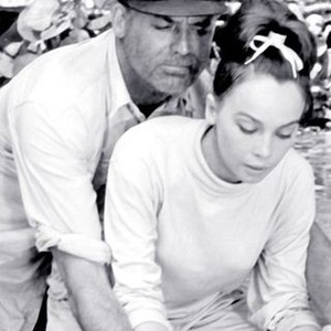 Father Goose - Rotten Tomatoes