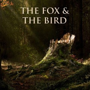 The Fox and the Bird - Rotten Tomatoes