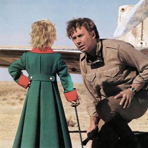 Steven Warner - Rotten Tomatoes