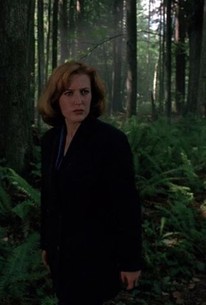 The X-Files: Season 3, Episode 4 | Rotten Tomatoes