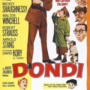 Dondi - Rotten Tomatoes