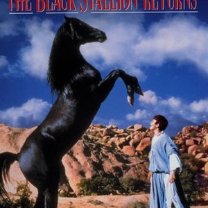 The Black Stallion Returns - Rotten Tomatoes