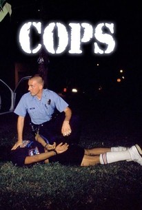 Cops: Season 3, Episode 26 - Rotten Tomatoes