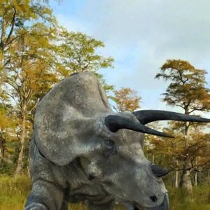 Waking the T-Rex: The Story of Sue - Rotten Tomatoes