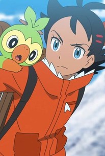 Pokémon the Series: Pokémon Master Journeys: The Series, Episode 23 ...