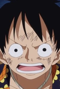 One Piece: Season 17, Episode 79 | Rotten Tomatoes
