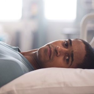 Trust Me - Rotten Tomatoes