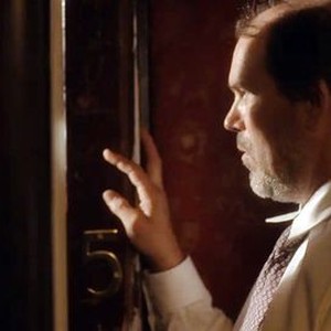 The Suitor - Rotten Tomatoes